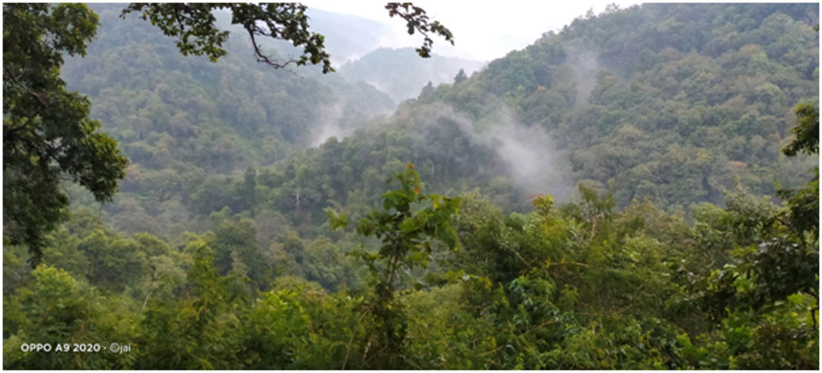 KALI TIGER RESERVE CAMP - Jai Naturalist