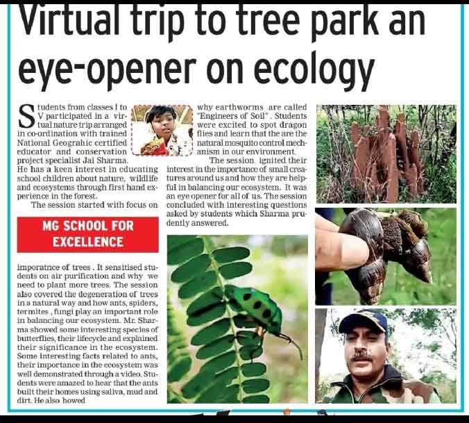 Virtual Trip to Tree Park - Jai Naturalist